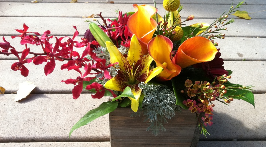 Phytology Flowers – Sustainable Wedding Flowers and Marriage and Family ...